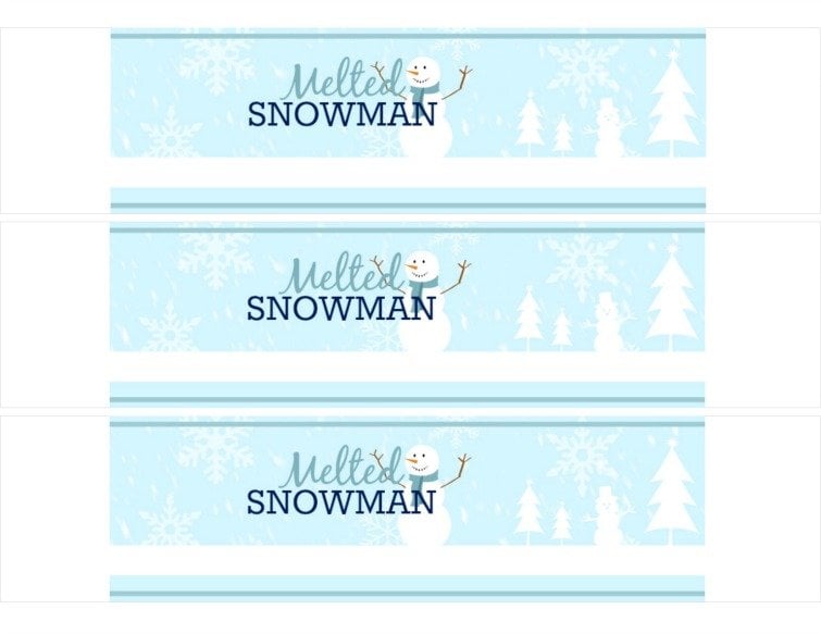 Melted Snowman Water Bottle Labels - DIY Printables - When is Dinner ...