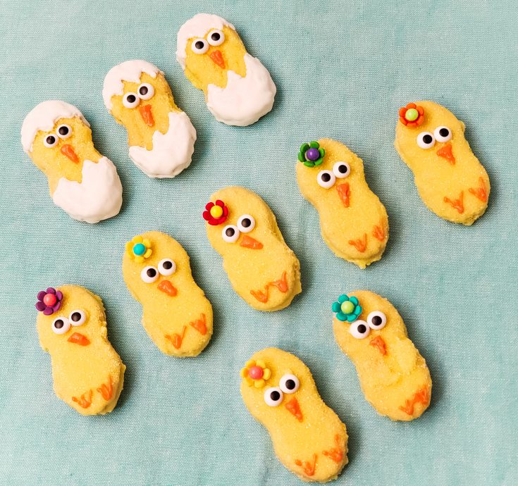 Barnyard Chick Nutters | When is Dinner